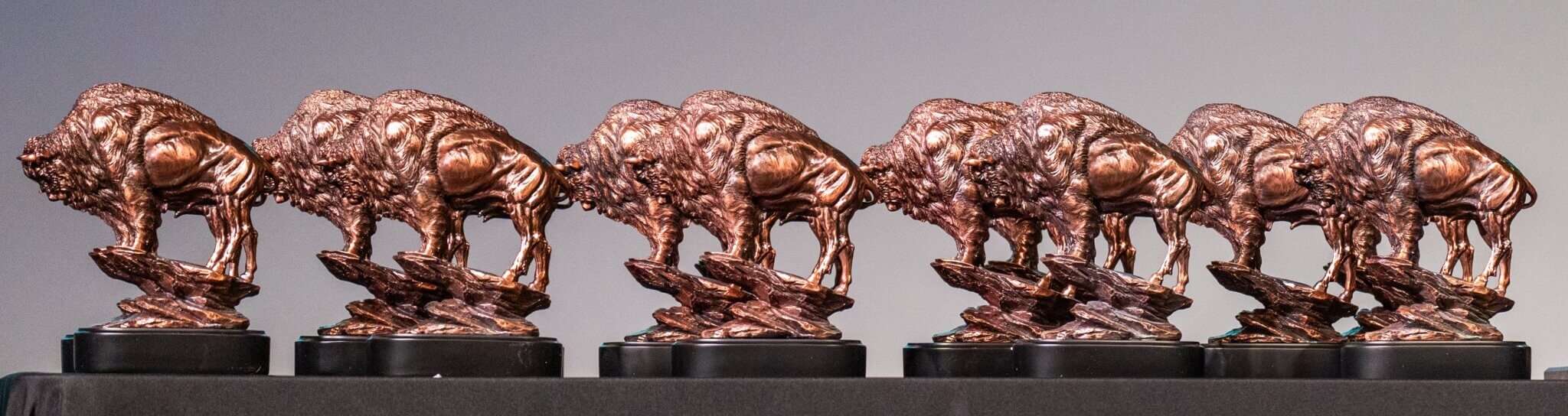 The GFDA Ally Award - Grow Great Falls Montana